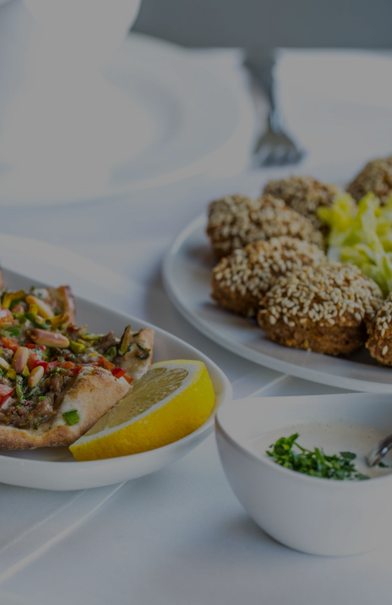 Ishbilia Lebanese Restaurant - Ishbilia